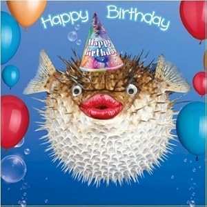 Birthday Card "Happy Birthday" Funny Fish Pufferfish Goggly 3D Moving ...