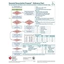 Neonatal Resuscitation Program Reference Chart (NRP): 9781610020299 ...
