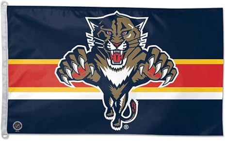 Amazon.com : NHL Florida Panthers 3x5 Foot Flag : Sports Fan Outdoor ...