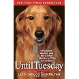 Until Tuesday: A Wounded Warrior and the Golden Retriever Who Saved Him ...