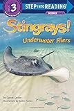Amazon.com: 13" Southern Stingray Plush Stuffed Animal Toy: Toys & Games