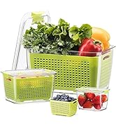 Amazon.com: LUXEAR Fresh Container, 3PACK Produce Saver Container BPA ...