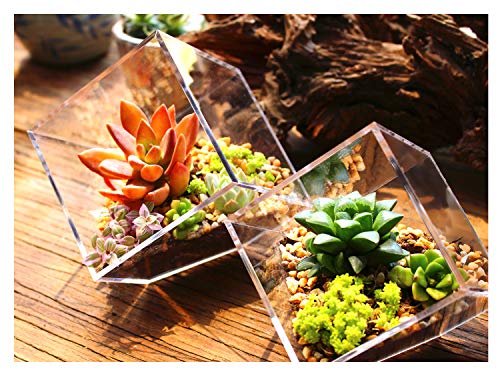 해외직구전문 쇼핑365 Evron Clear Flower Planter Pots,Artistic Room Decor,Fully ...