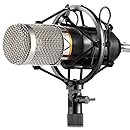 Amazon.com: ZINGYOU BM-800 Condenser Microphone, Cardioid Studio ...