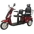 Amazon.com: Double Seat Electric Mobility Scooter | 60V 1000W Motor ...