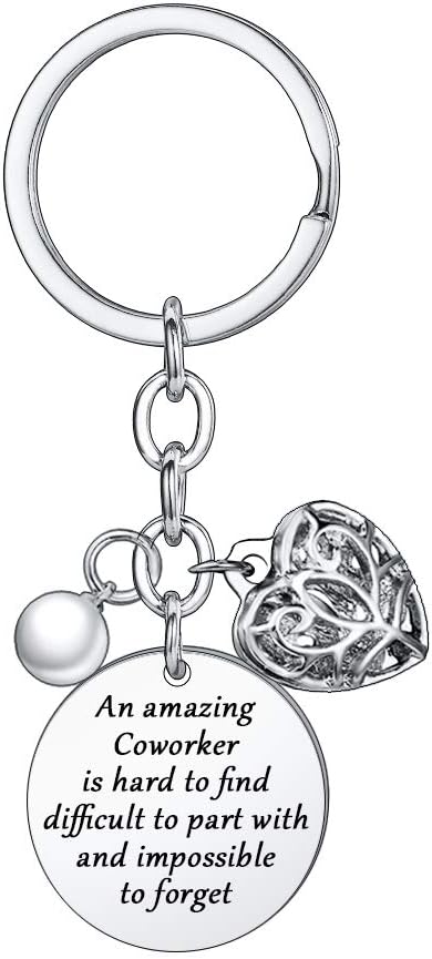 BESPMOSP Coworker Leaving Gifts Appreciation Keychain Going Away ...