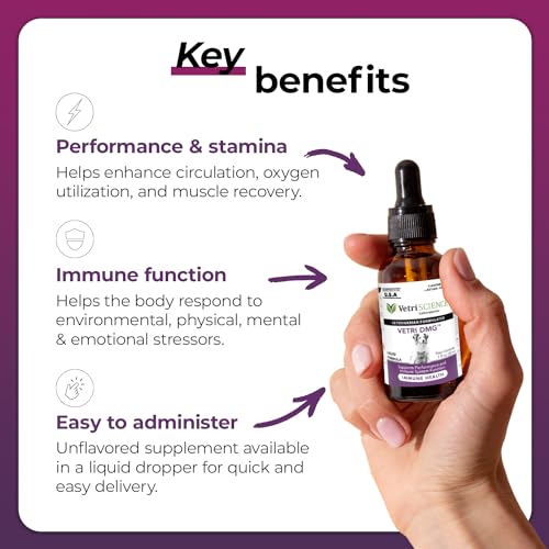 VetriScience Vetri DMG Liquid Drop - 114ml Bottle - Immune Support ...