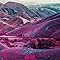 Infra: Photographs by Richard Mosse: Hochschild, Adam, Mosse, Richard ...