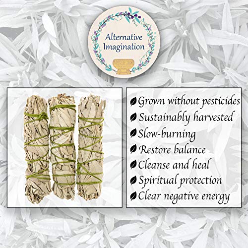 Alternative Imagination White Sage Smudge Stick Set â 3-Pack of 4-Inch Bundles for Home ...