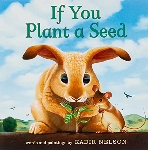 If You Plant a Seed Board Book: Nelson, Kadir, Nelson, Kadir ...