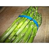 Amazon.com : Band-It Rubber Co. Green Broccoli #81 (2" x 1/2" x 1/32 ...