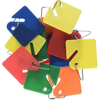 Amazon.com : Buddy Products Blank Plastic Key Tags, Assorted Colors ...