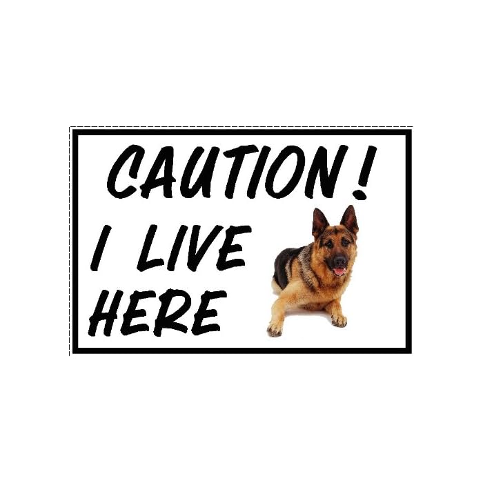 Can A German Hound Live In Brunei