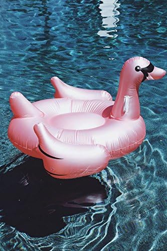 Inflatable Jumbo Inflatable Swan Pool Float Beach Holiday Swimming ...