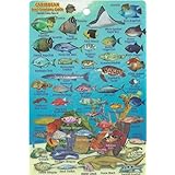 Amazon.com: Fishwatchers Reef Field Guide: Fishes of Tropical Atlantic ...