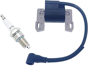 Amazon.com: PARTSRUN Ignition Coil with Spark Plug Replace Briggs and ...