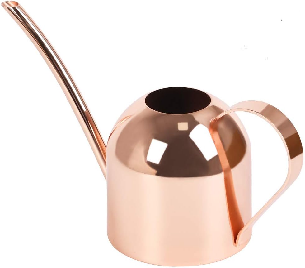 500ml Mini Watering Can Stainless Steel Watering Pot Long Mouth ...