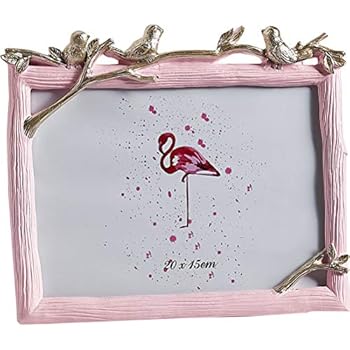 Amazon.com - Beachcombers Flamingo Photo Frame Home Decor Pink