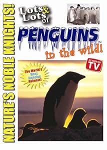 Amazon.com: Lots and Lots of Penguins In The Wild DVD: None, Tom ...
