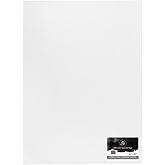 Amazon.com: New York Central Watercolor Paper Sheets, 22x30 Inch, 140lb ...