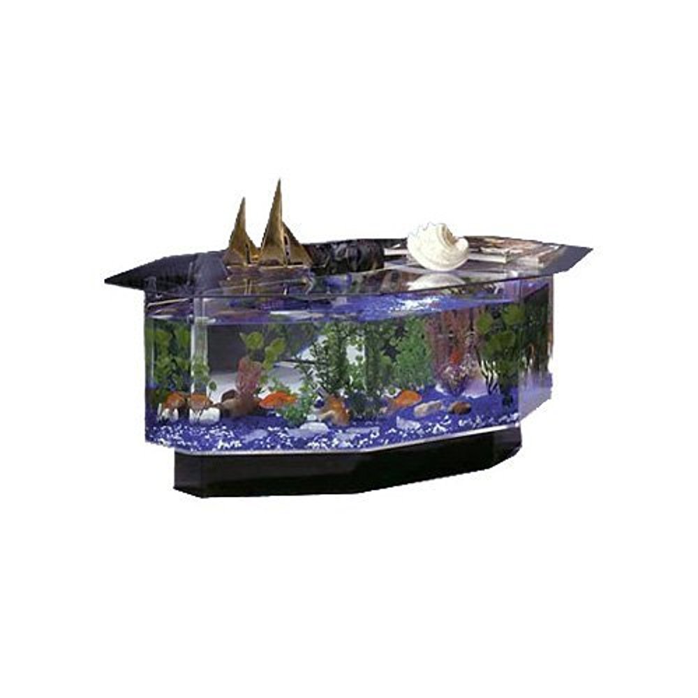 Fish Tank Coffee Table - Reviews in 2023 | A Little Bit Fishy