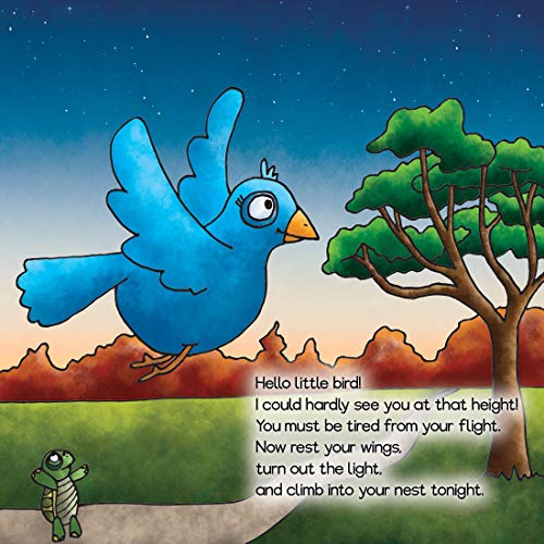 Good Night Little Turtle | Pricepulse