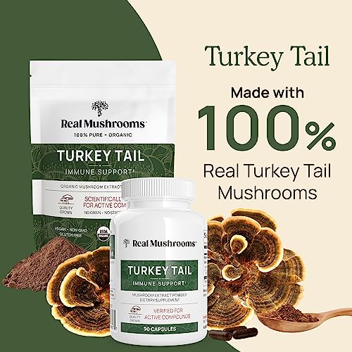 Real Turkey Tail Powder - Organic Mushroom Supplement with Potent ...
