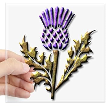 Amazon.com: Scotland Thistle Vinyl Decal Sticker - White Glasgow ...