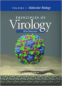 Principles of Virology: 2 Vol set - Bundle: Flint, S. Jane, Enquist ...