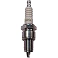 Amazon.com: NGK Spark Plug, NGK ZGR5A, ea, 1 : Automotive