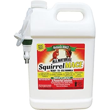Amazon.com : Squirrel MACE Squirrel Repellent 1 Gallon Ready-to-Use ...