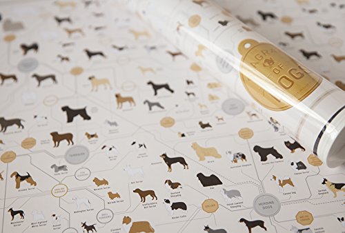 Pop Chart The Diagram of Dogs Poster Print, 24" x 18", - Want It All
