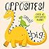 Amazon.com: Eric Carle's Opposites (The World of Eric Carle ...