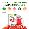True Lemon KIDS Wild Watermelon (10 Packets) - Hydration for Kids - No ...