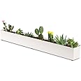Amazon.com : GZGNEEVL Window Sill Planter Box Trough Rectangle Planter ...