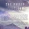 The Amber Project (The Variant Saga) (Volume 1): J N Chaney ...