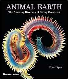 Amazon.com: Animal Earth: The Amazing Diversity of Living Creatures ...