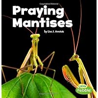 Praying Mantises (Bugs, Bugs, Bugs!): Hall, Margaret: 9780736850988 ...