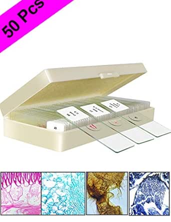 50Pcs Prepared Microscope Slides Set Professional Grade Specimens for ...