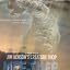 Amazon.com: Mee-Shee: The Water Giant: Bruce Greenwood, Daniel Magder ...