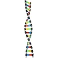 Amazon.com: iplusmile DNA Model Kit Double Helix Structure DNA Models Biological Science ...