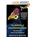 The Birds of Pandemonium: Michele Raffin: 9781616201364: Amazon.com: Books