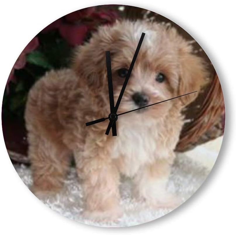 Amazon.com: Wood Wall Clocks Basby Teacup Poodle Puppy Simple Watches ...