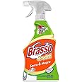 Brasso® Gold Sarro y Mugre con atomizador, 650mL : Amazon.com.mx: Hogar ...