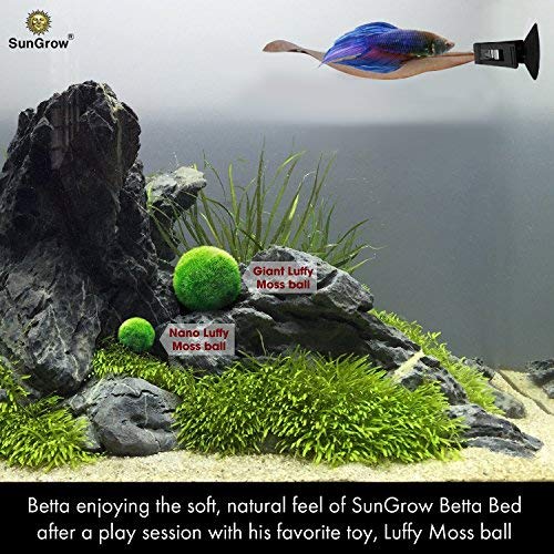 SunGrow Betta Bed Kit, 4 to 6-inches, Comfy Hammock, Rest Area for Fish ...