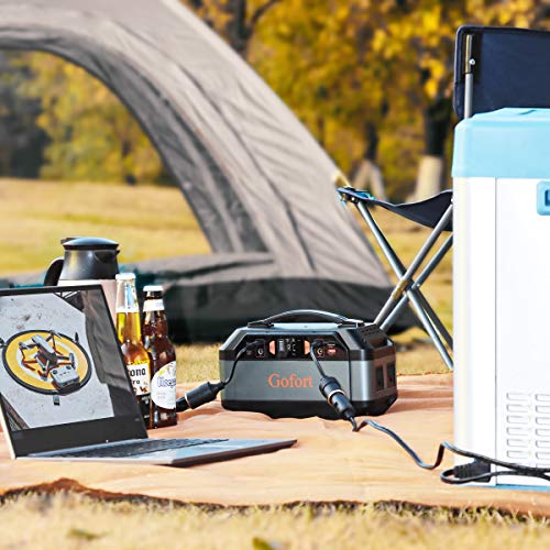 GOFORT 330W Portable Power Station, 299Wh Solar Generator Backup Power, Battery Pack with 110V ...