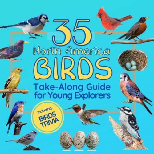 The Most Popular Birds of North America: Bird Watching Guide for Kids ...