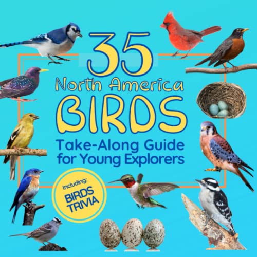 The Most Popular Birds of North America: Bird Watching Guide for Kids ...