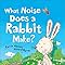 Amazon.com: What Noise Does a Rabbit Make? (0884514811006): Weston ...