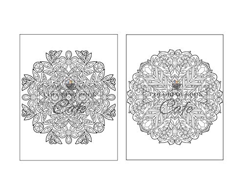 Gemstone Mandalas: An Adult Coloring Book Featuring the World's Most ...